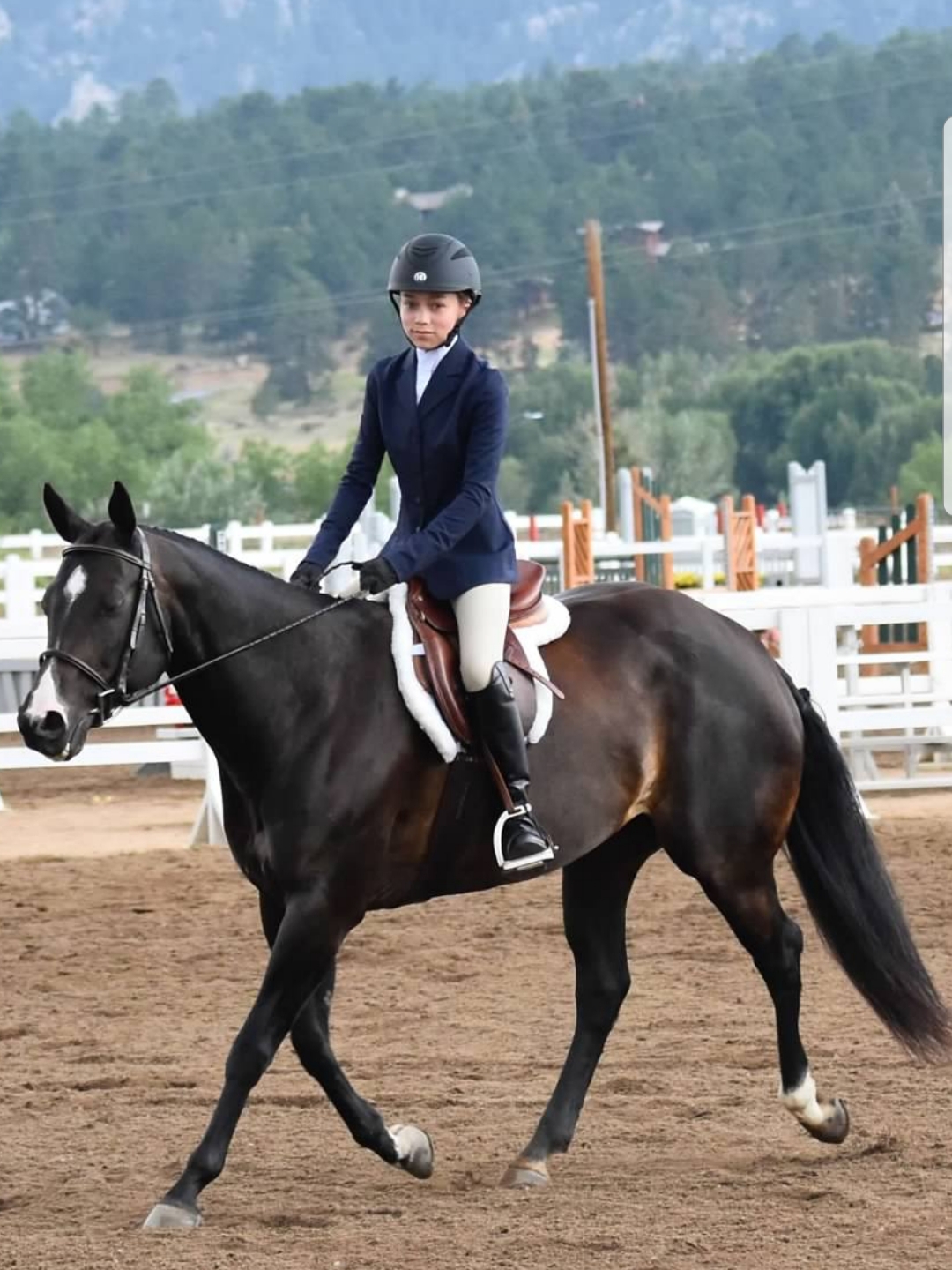 Tula Ortiz and Chocolate Withdrawal (Trinket) | Colorado Hunter Jumper ...