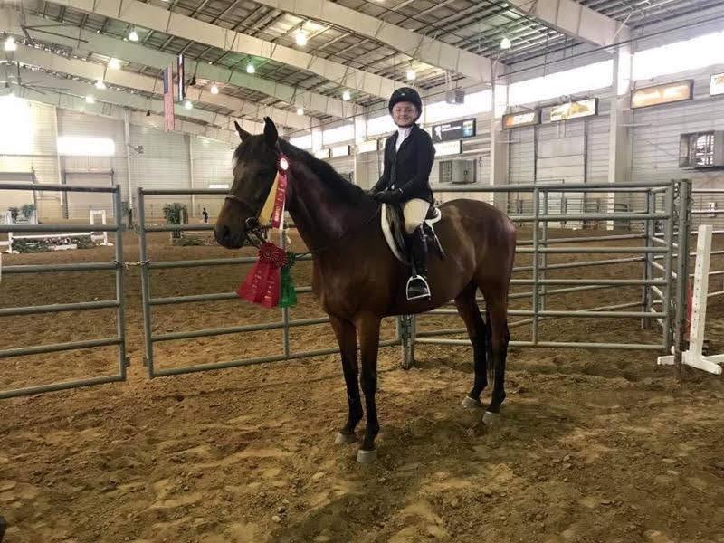Colorado Hunter Jumper Association Colorado Hunter Jumper Association